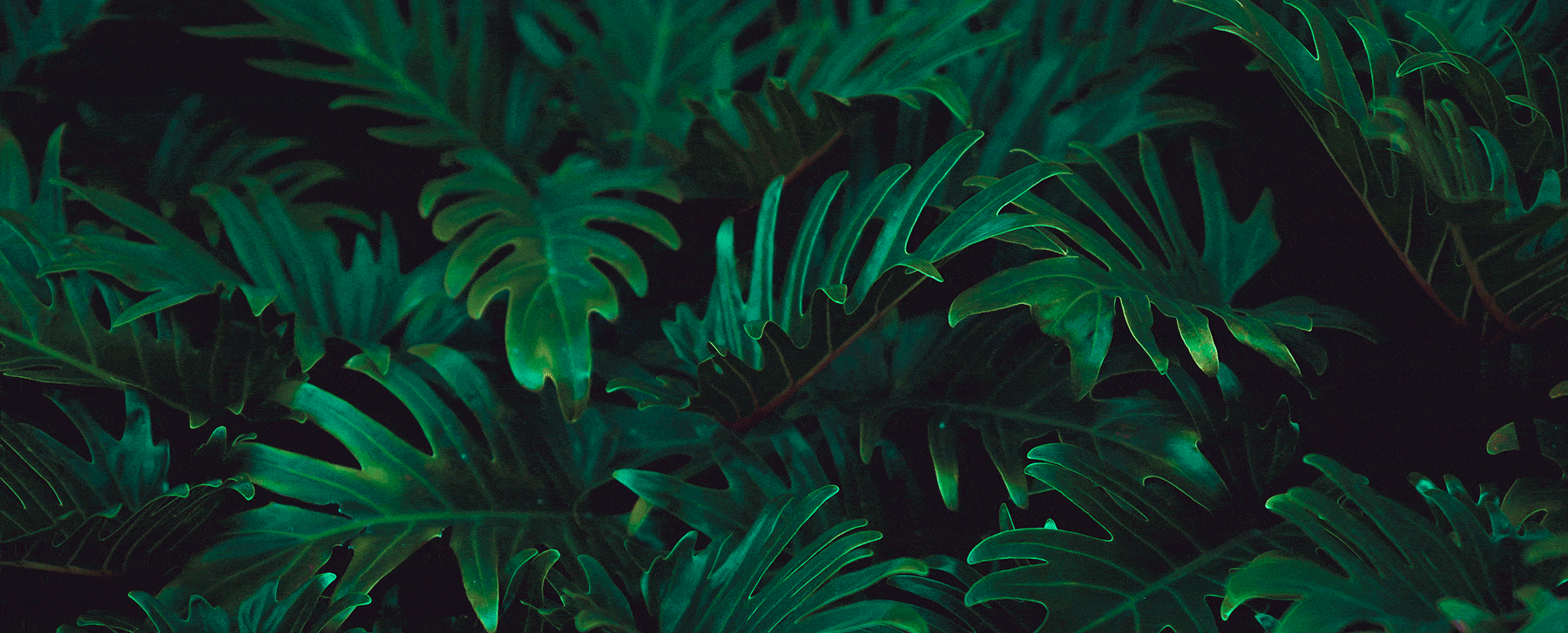 Environmental sustainability and filtering the fads - Inenco