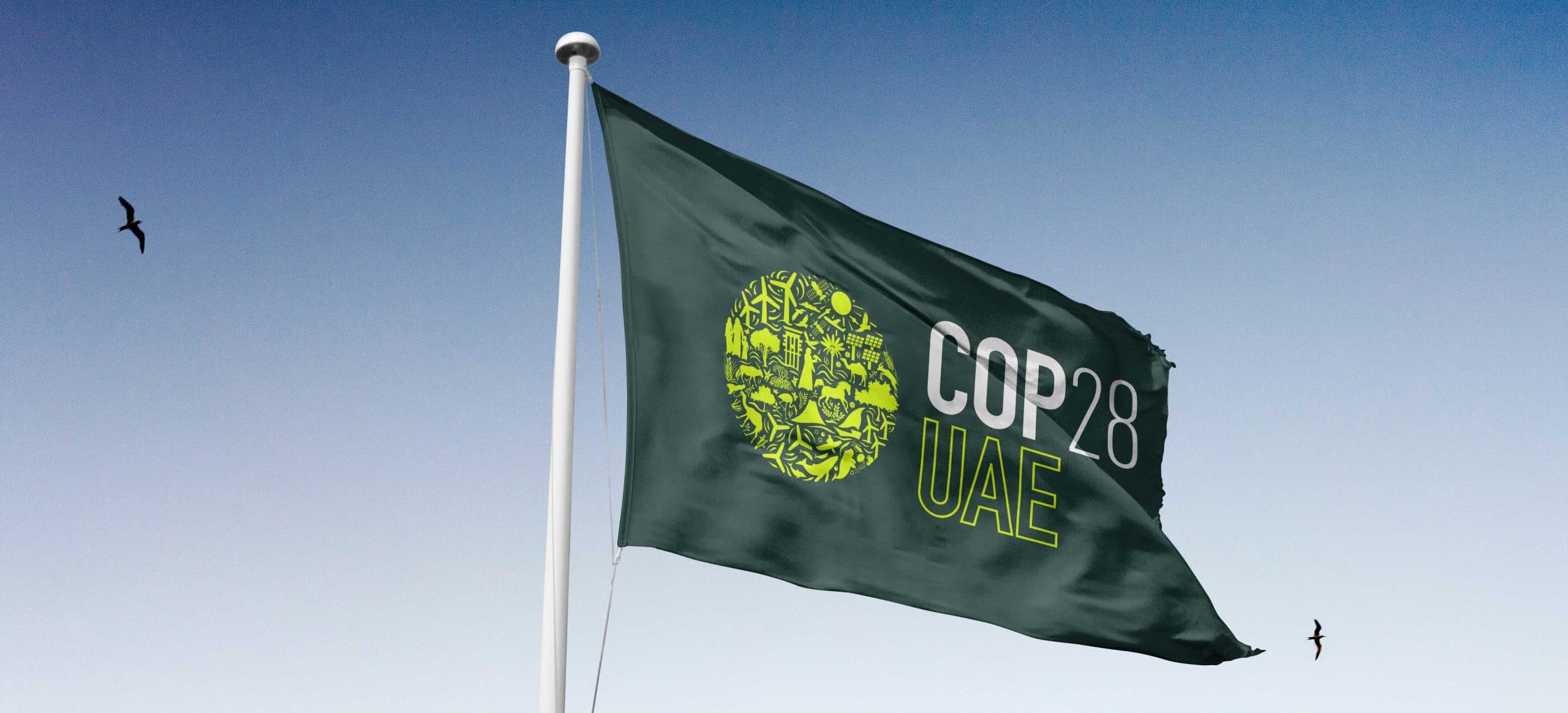 COP28: A positive outcome…in part - Inenco